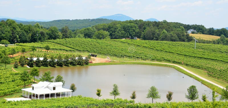 North Georgia Vineyard and Pond Stock Image - Image of agriculture ...