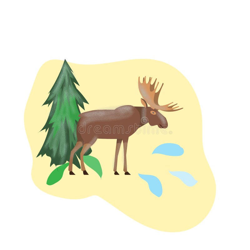 Handsome Moose Stock Illustrations – 19 Handsome Moose Stock ...