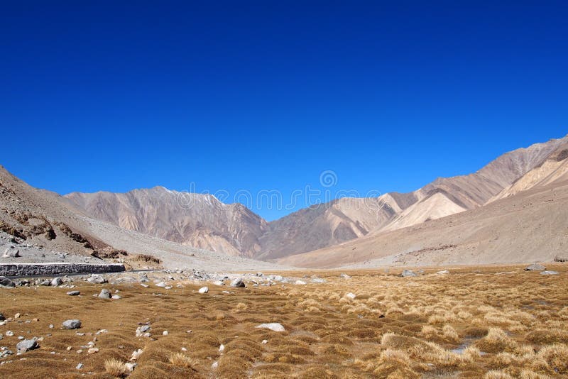 North India landscape stock photo. Image of tree, calm - 47762564