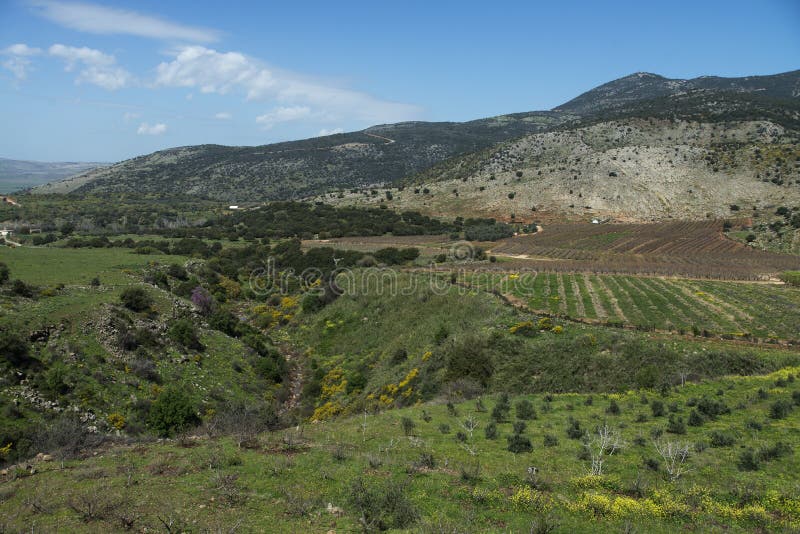 North Israel stock photo. Image of peak, summer, colorful - 68319938