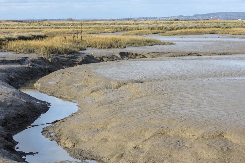 Kent marshes stock image. Image of marshes, northkent - 42798431