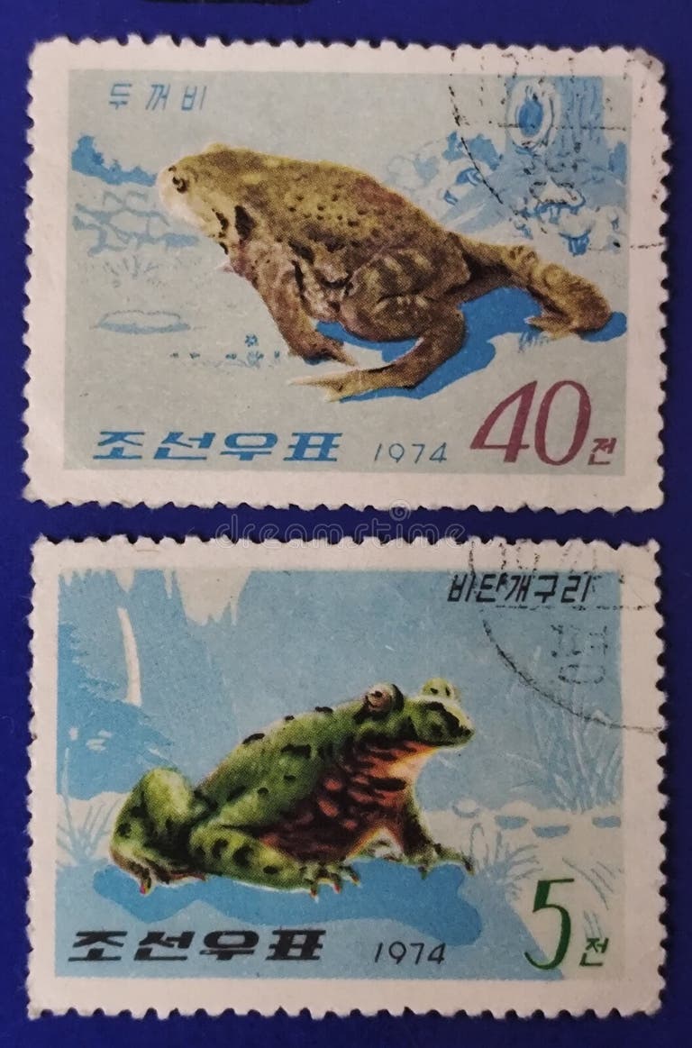 1,901 Cartoon Drawing North Stock Photos - Free & Royalty-Free Stock ...