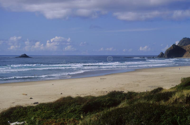 North Oregon beach stock image. Image of secluded, beachcombing - 13176839