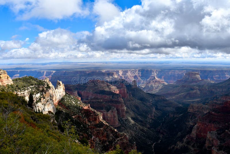 North Rim of the Grand Canyon Stock Photo - Image of destination, tree ...