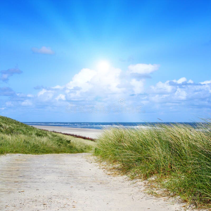 Path To Sand Beach in North Sea Stock Image - Image of orange, scenic ...