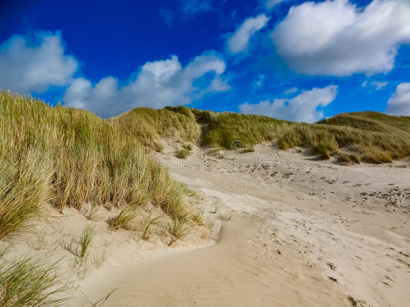 On the North Sea Beach in Denmark Stock Image - Image of horizon, plain ...