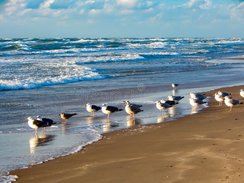 On the North Sea Beach in Denmark Stock Image - Image of winter, lake ...