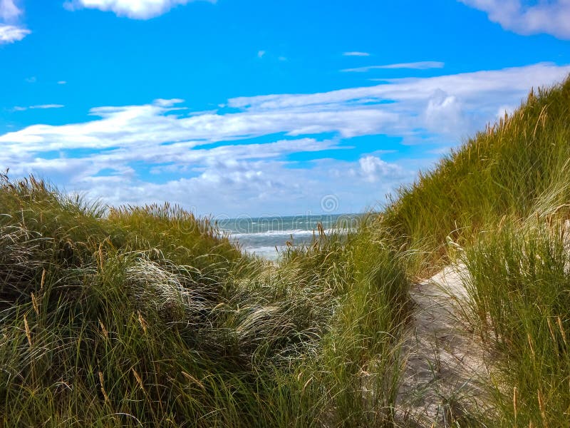 On the North Sea Beach in Denmark Stock Image - Image of hill, horizon ...