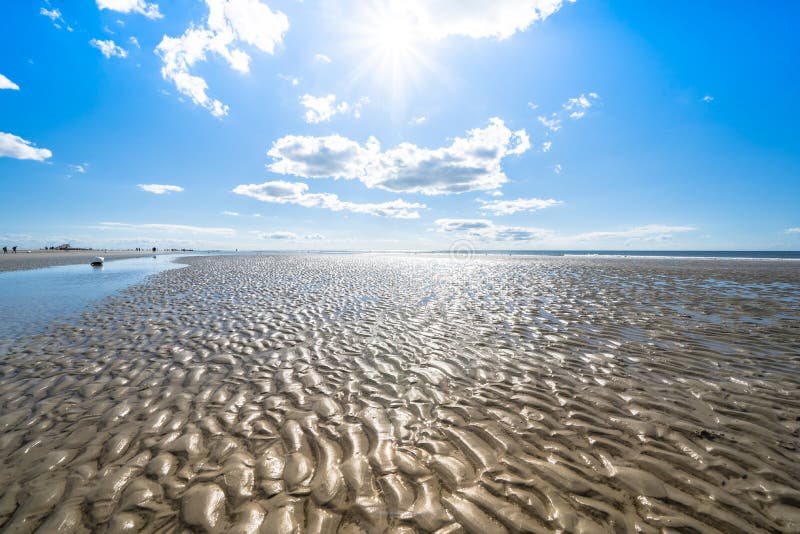 North Sea landscape stock photo. Image of beach, germany - 261247376