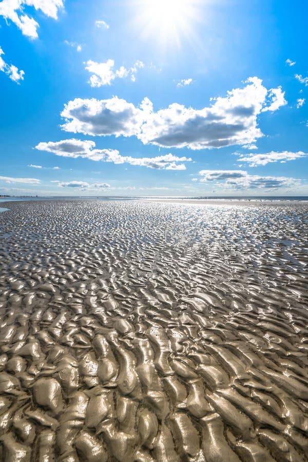 North Sea landscape stock image. Image of summer, peter - 264069479
