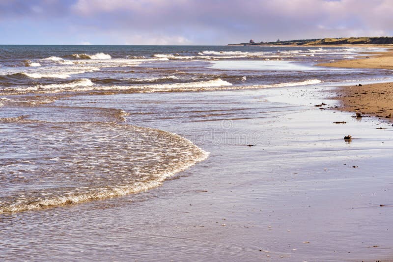 North Shore PEI Beach stock photo. Image of island, scene - 229314966