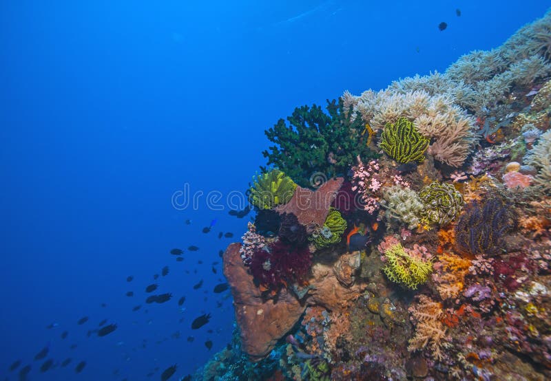 North Sulawesi,Indonesia stock photo. Image of strait - 157329782