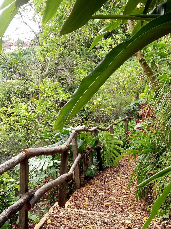 North sydney stock image. Image of north, treasure, sydney - 138240895