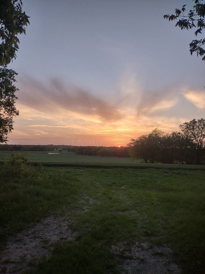 North Texas sunset stock photo. Image of edge, tree - 251324400