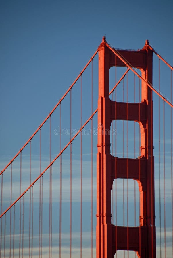 North Tower Picture. Image: 2053646