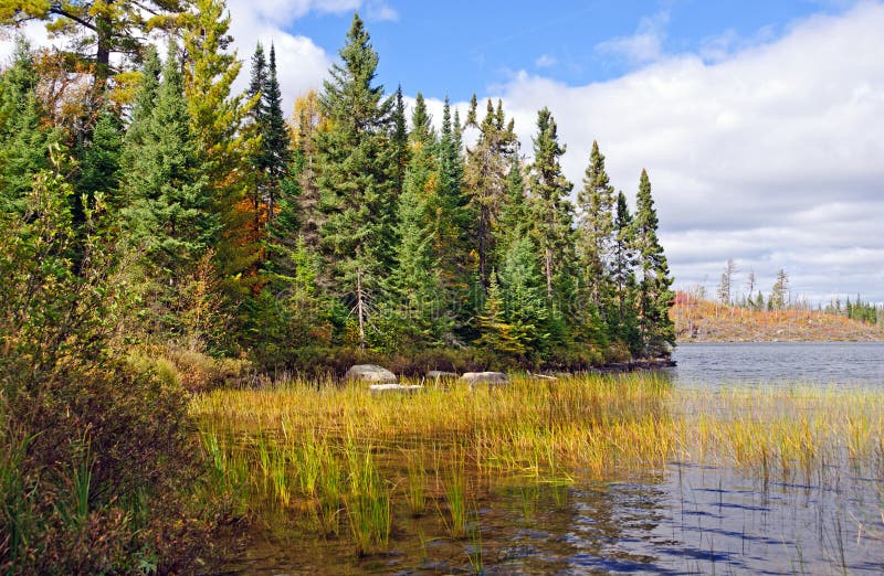 North Woods Lake Shore in the Fall Stock Image - Image of autumn ...