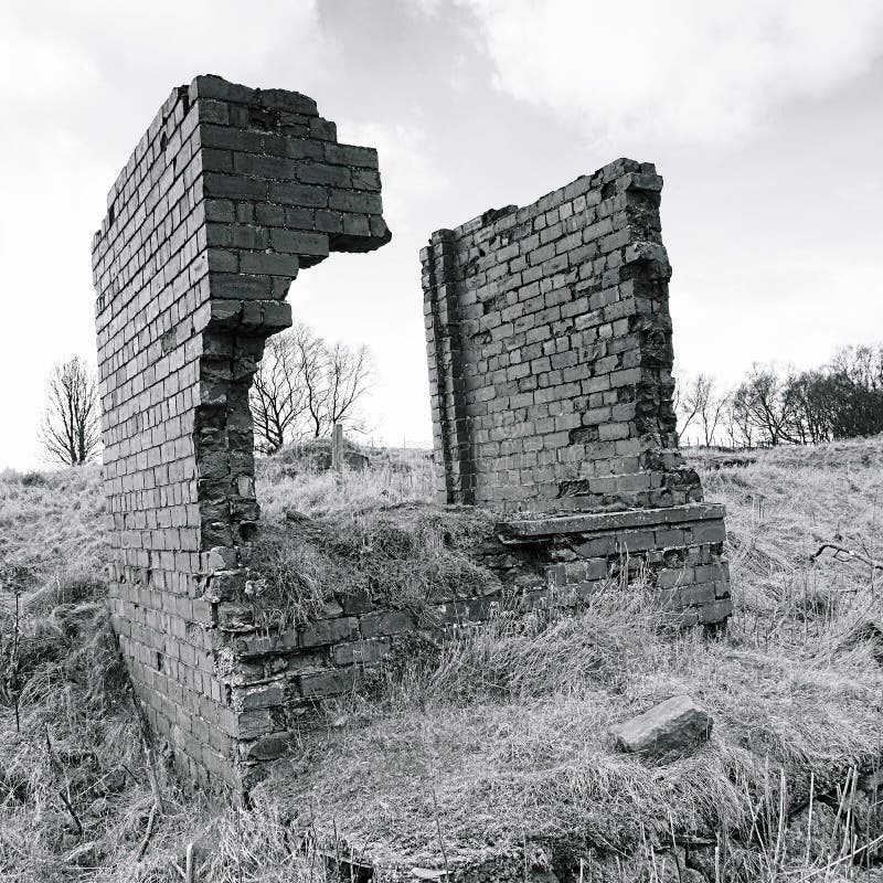North Yorkshire Moors England Stock Image - Image of branches, grass ...