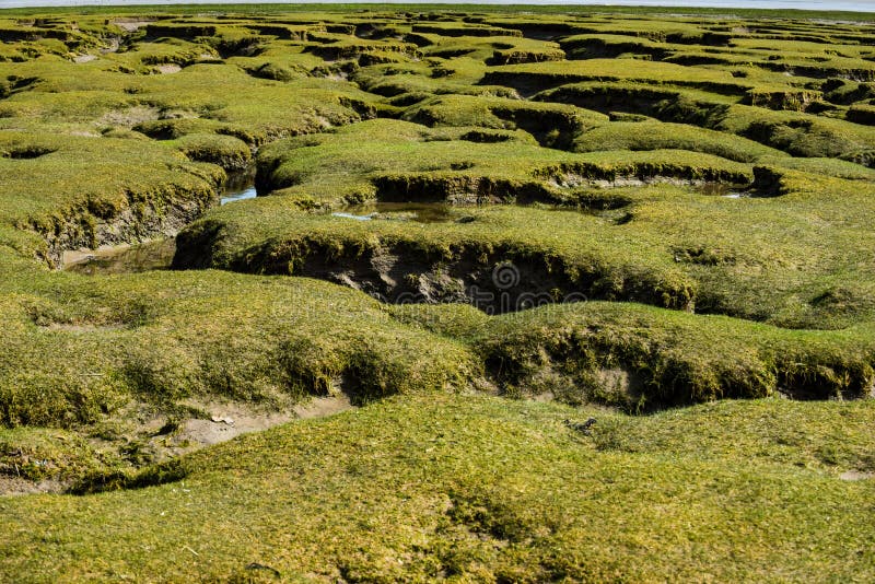 Northam Burrows Mud Flats in Devon Make an Unusual Pattern during Low ...
