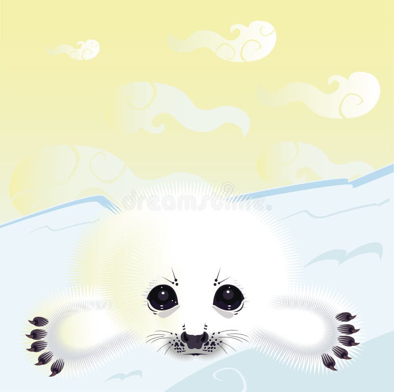 Snow seal stock vector. Illustration of pinnipeds, protection - 30072935