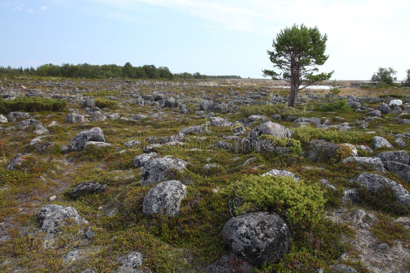 Northen landscape stock image. Image of north, northen - 36877857