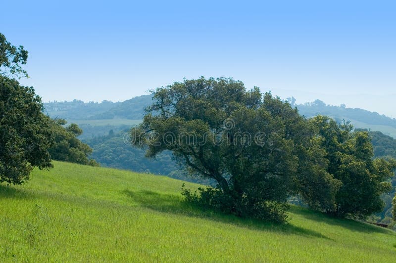 Northern California Spring stock photo. Image of grass - 626930