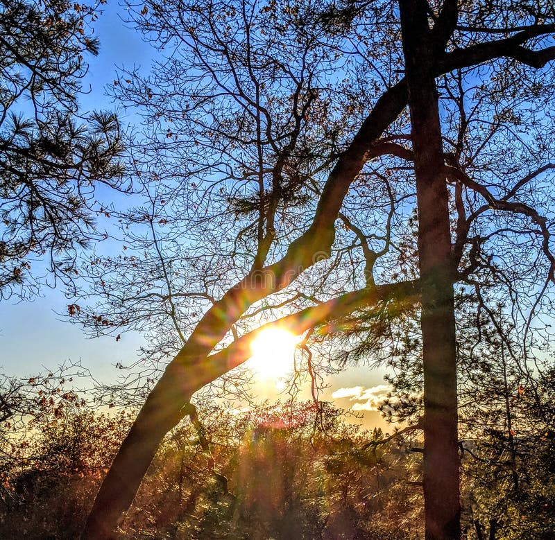 Northern Cold Winter Blue Sky Stock Photo - Image of northern, blue ...