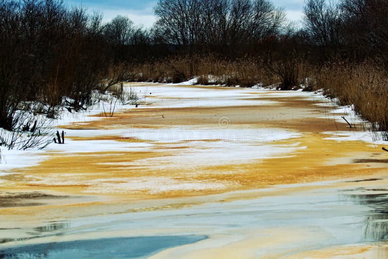 Northern Forest and Swamp River Stock Image - Image of marsh, channel ...