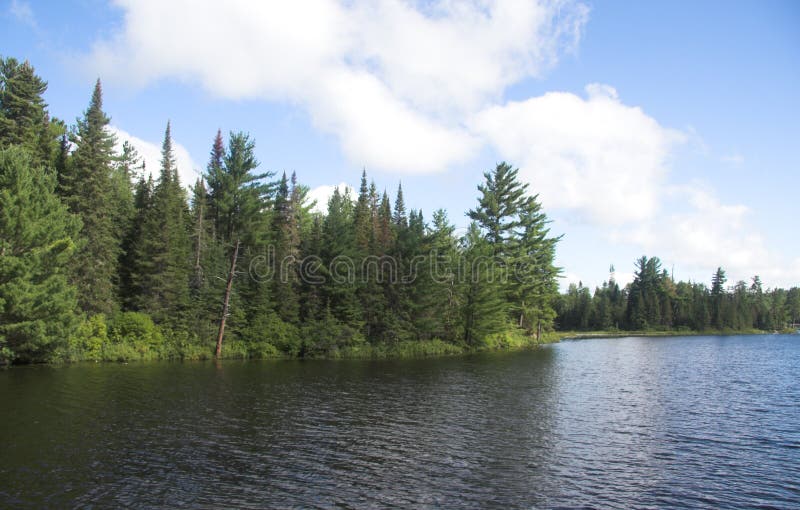 Northern Lake stock photo. Image of reflection, summer - 1067282