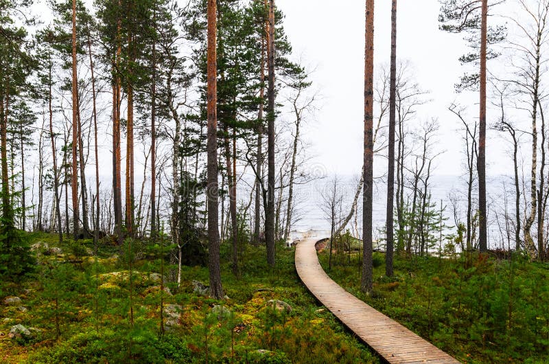 Northern lake stock image. Image of moored, autumn, tranquil - 27904415