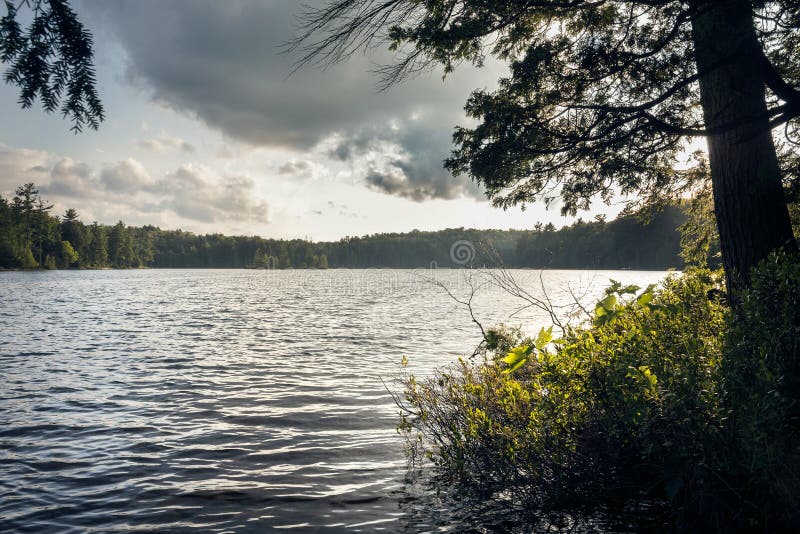 Landscape of a Northern Lake at Sunset with Ducks Stock Image - Image ...