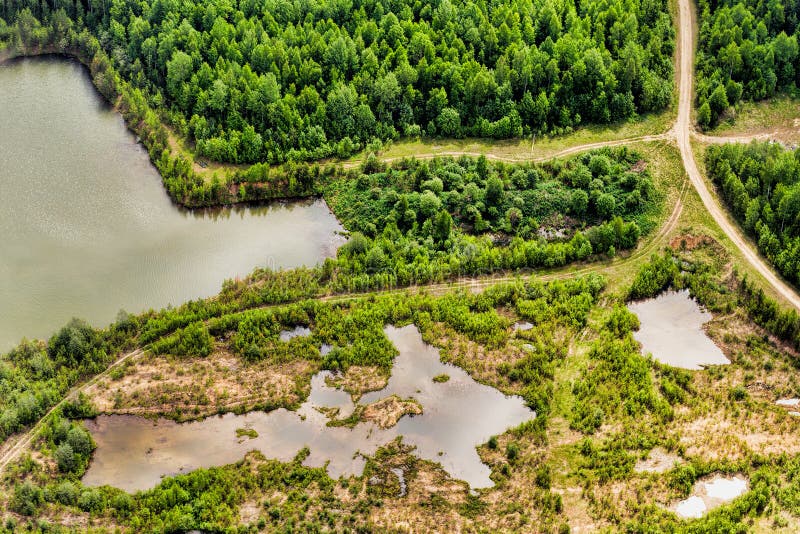 Northern Landscape. Endless Forests and Swamp. Airview Stock Image ...