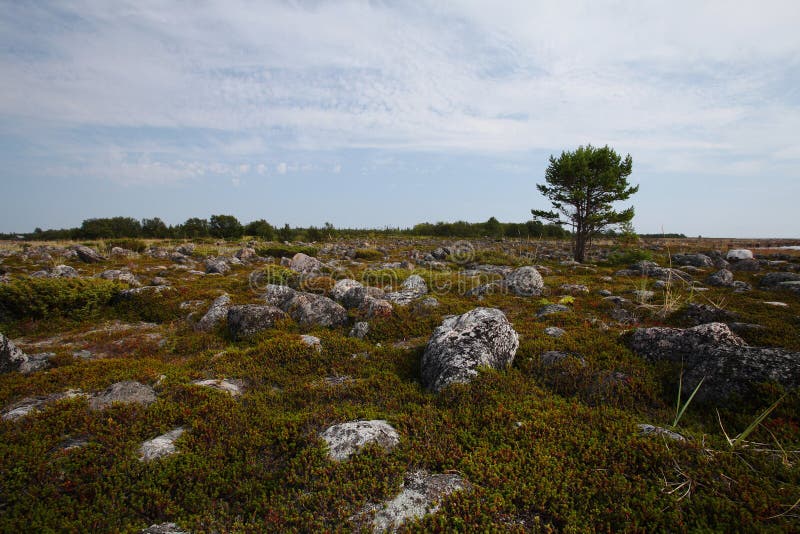 Northern landscape stock image. Image of nature, place - 34794851