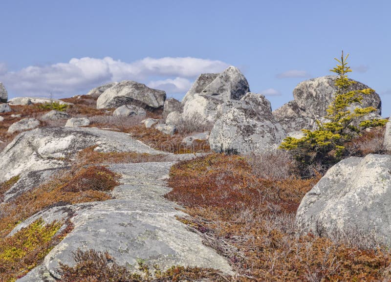 Northern Landscape stock image. Image of landscape, ecology - 33677983