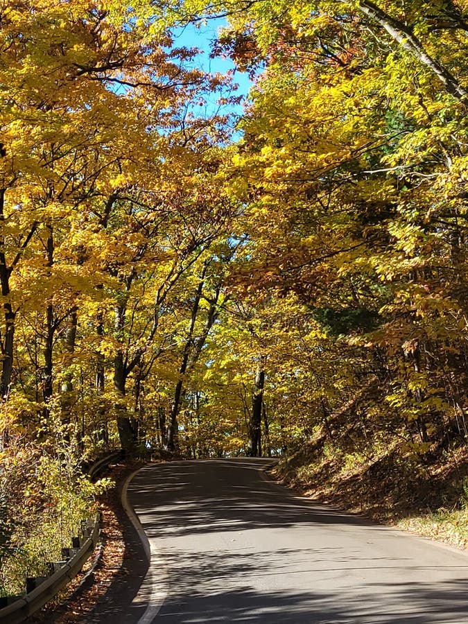 Northern Michigan Tunnel of Trees in Aut Stock Image - Image of wood ...