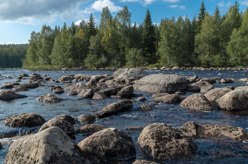 Northern Nature with Forests, Lakes and Rivers in Its Natural Form ...