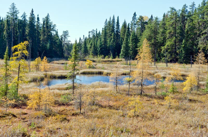 A Fall Morning at George Lake Stock Image - Image of forest, hill: 1965771