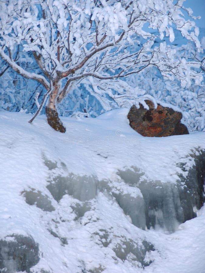 Northern polar night stock image. Image of hoarfrost, frost - 1761111