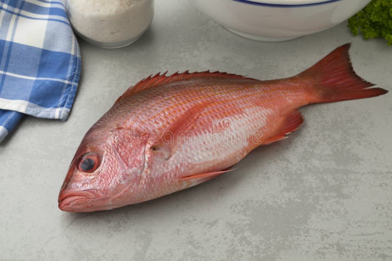 Northern Red Snapper Ready To Cook Stock Photo - Image of catch, food ...