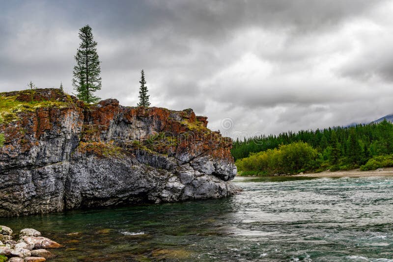 Northern River Flowing among the Rocks in a Forest Area Stock Photo ...