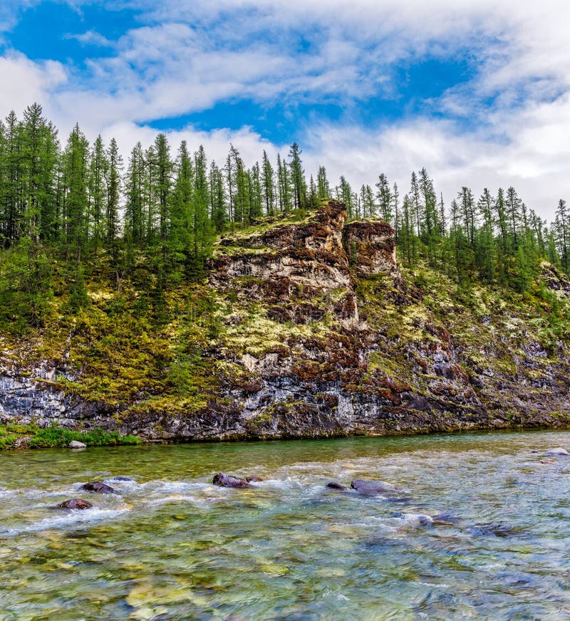 Northern River Flowing among the Rocks in a Forest Area Stock Photo ...