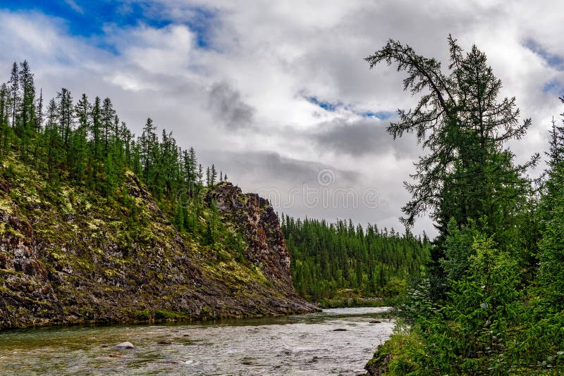 Northern River Flowing among the Rocks in a Forest Area Stock Photo ...