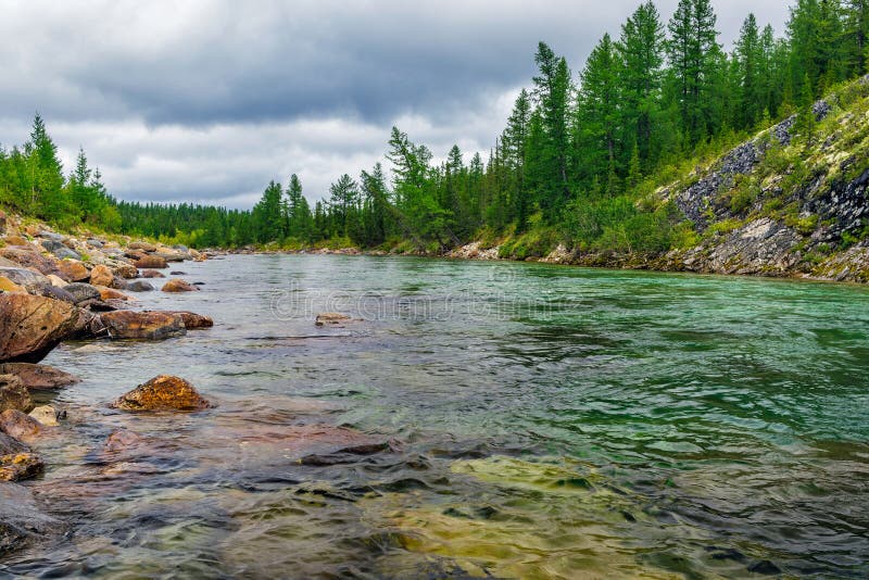 Northern River Flowing among the Rocks in a Forest Area Stock Photo ...