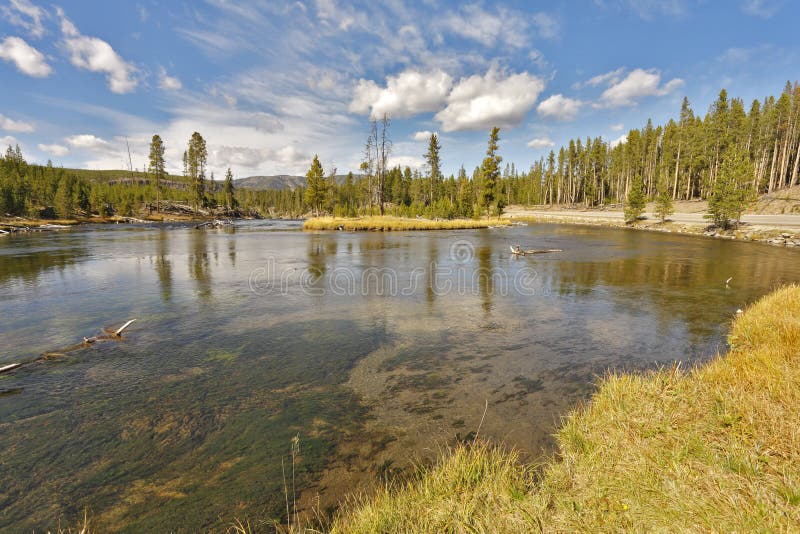 Green ooze stock photo. Image of spring, background, basalt - 7227062