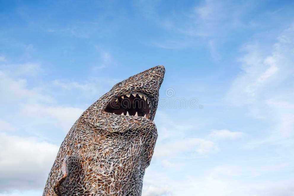 Northern River Shark editorial stock image. Image of requiem - 295508579