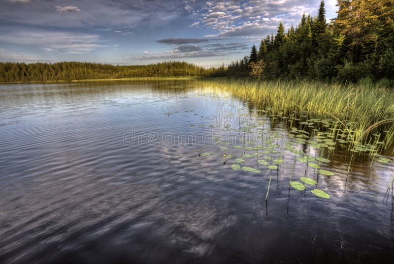 Northern Saskatchewan Lake stock photo. Image of nature - 27625602