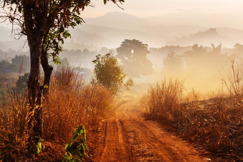 Northern Thailand stock image. Image of cultivation, outdoor - 90148809