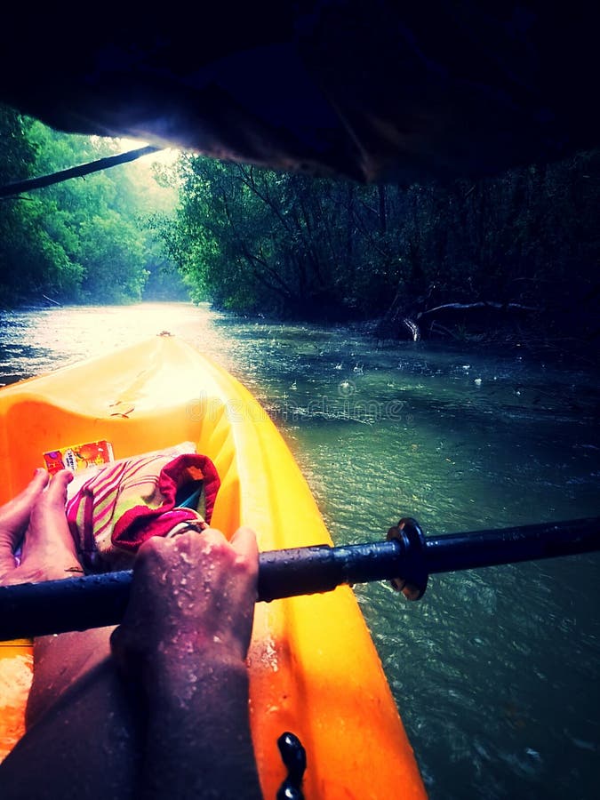 Kayaking in BC Rain Forest stock image. Image of healthy - 189267871