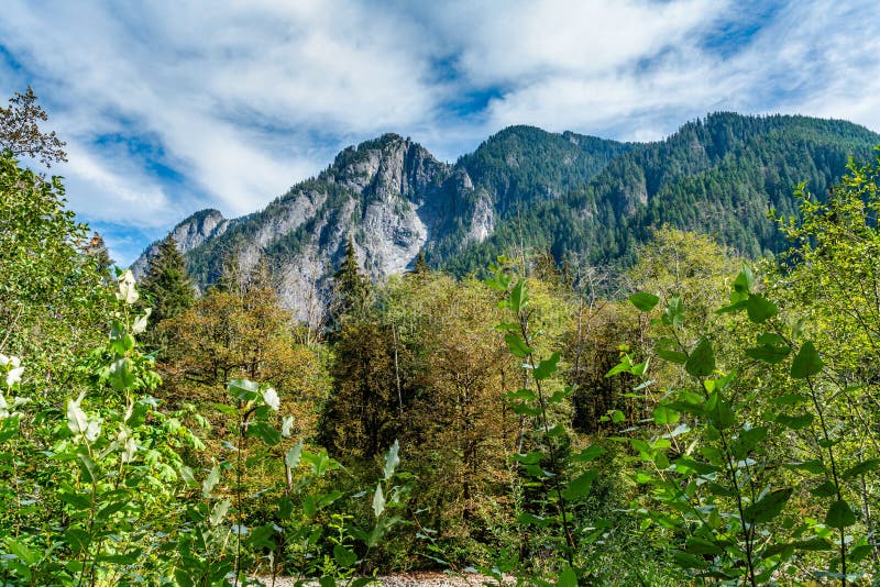Northwest Mountains and Trees Stock Photo - Image of trees, tourism ...
