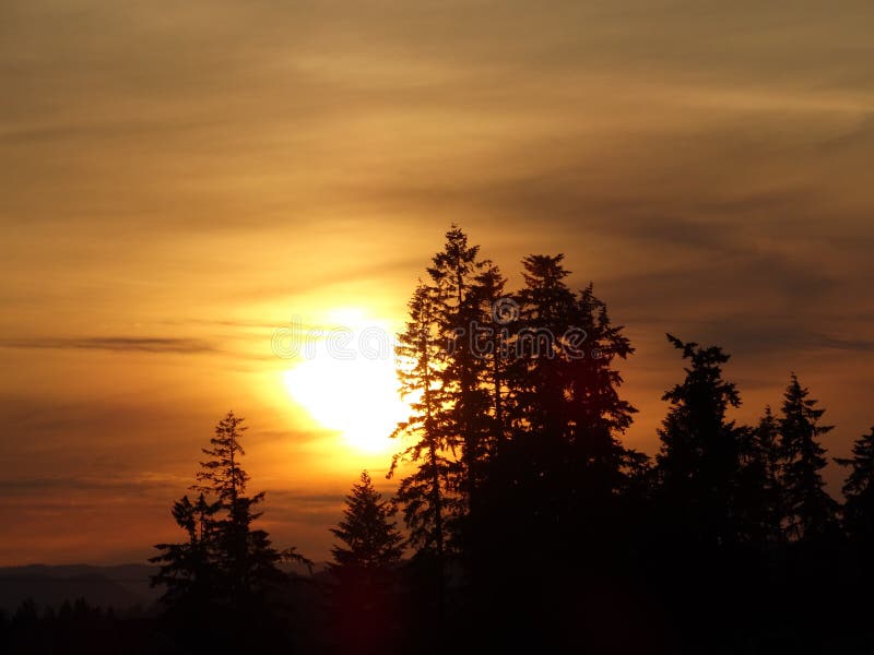 Northwest Oregon 2015 Sunset Stock Photo - Image of evergreens, fire ...