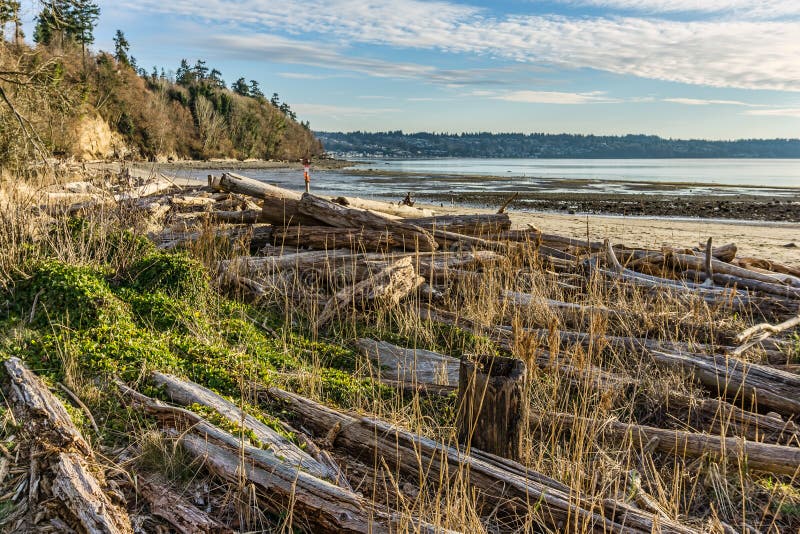 Northwest Sandy Shoreline 5 Stock Image - Image of saltwater, coast ...